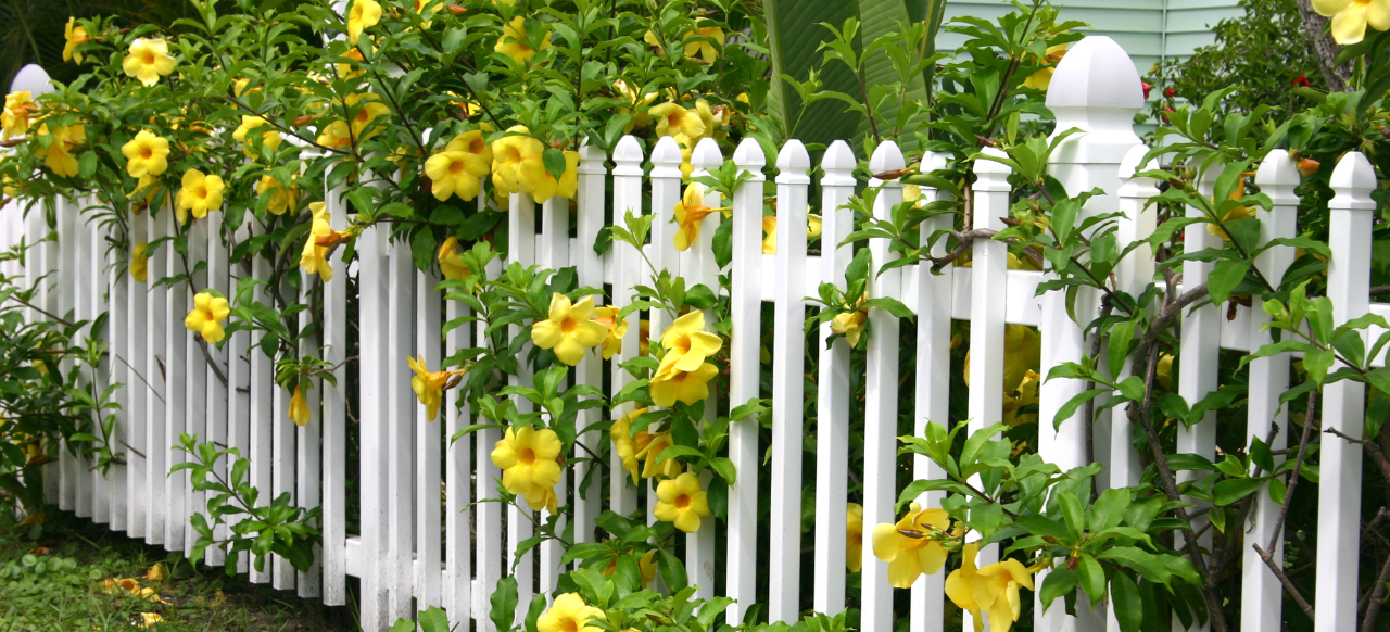 Most Popular Types of Timber Fencing in the Northern Beaches - Fencing ...